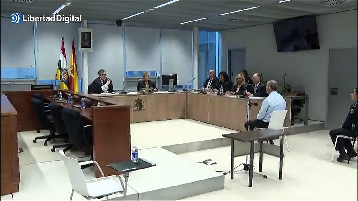 El acusado por el asesinato de Alex en Lardero confiesa pero hacer ...