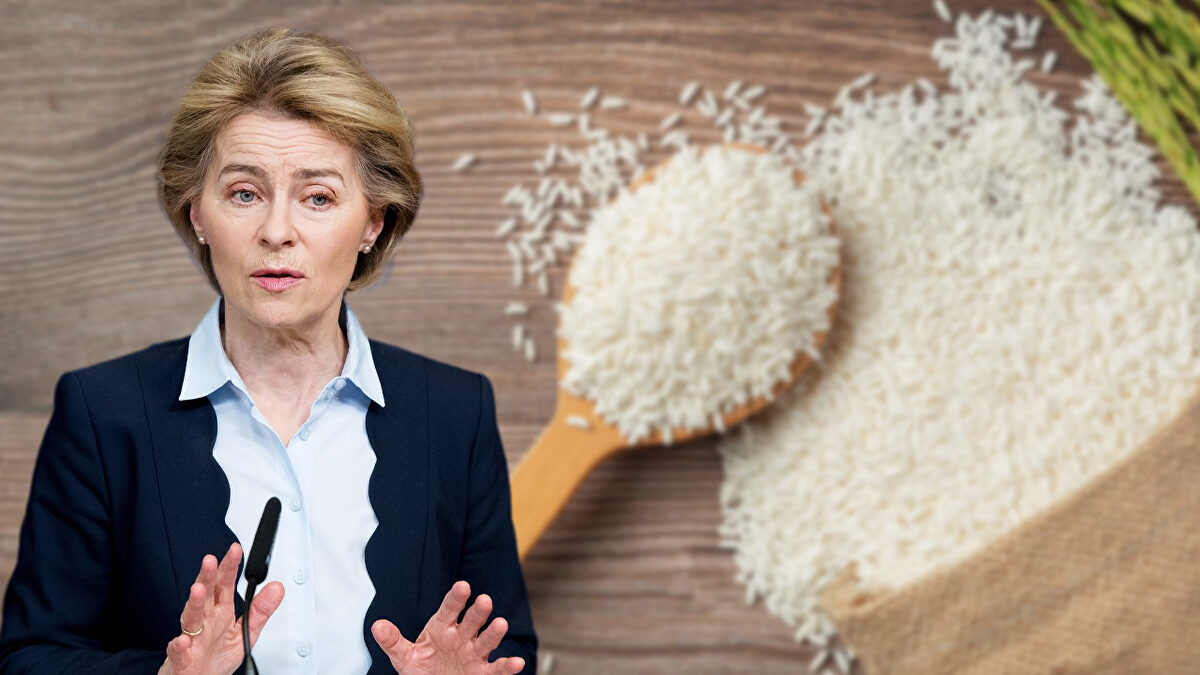 Tras la fresa, golpe al arroz valenciano: la UE prohíbe su principal ...