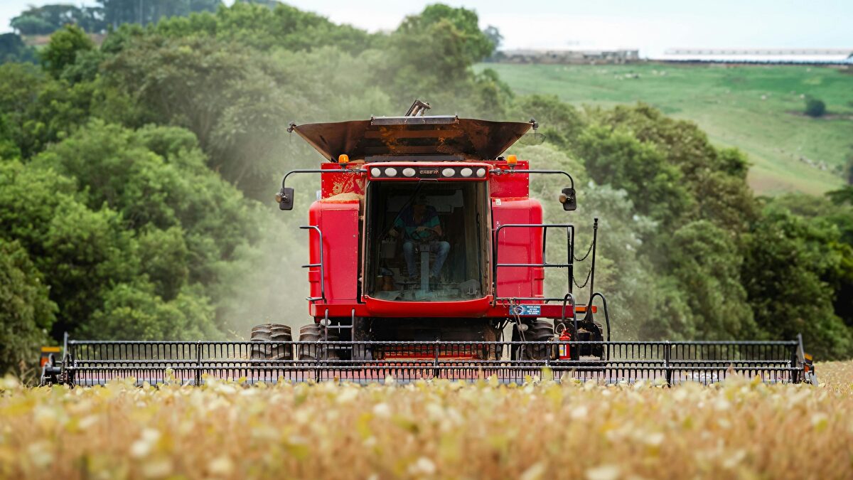 El doble rasero ecologista de la UE pone a los agricultores en contra ...