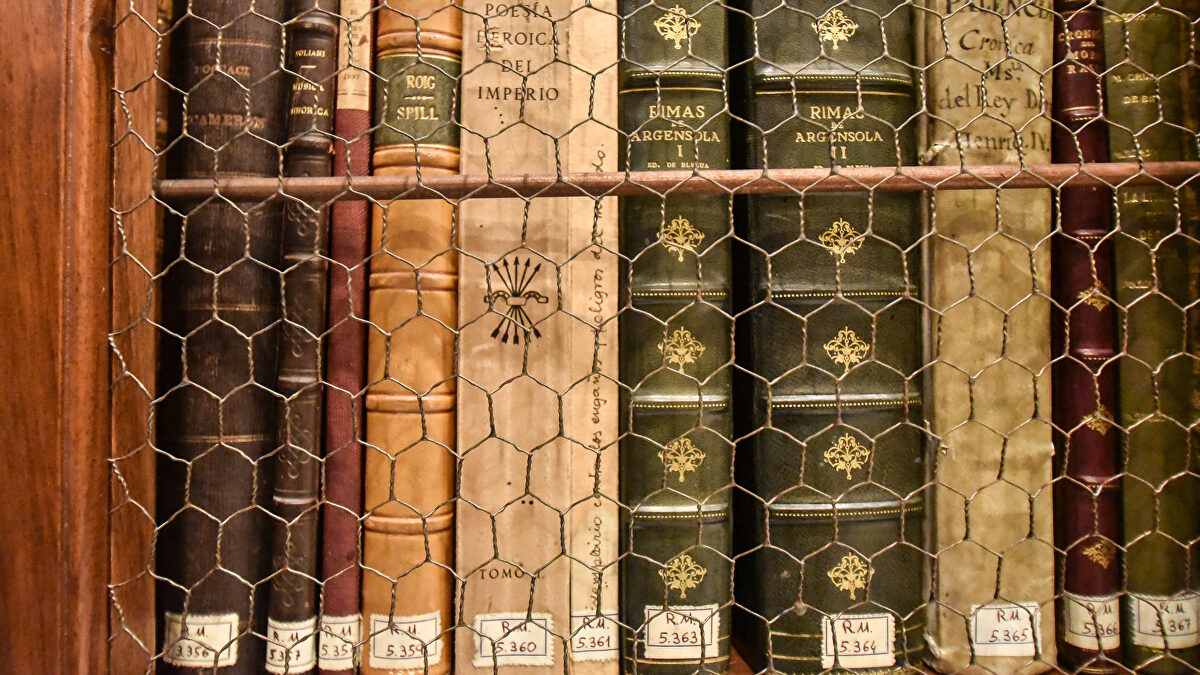 Las palabras más raras del español aceptadas por la RAE y que no habrás ...