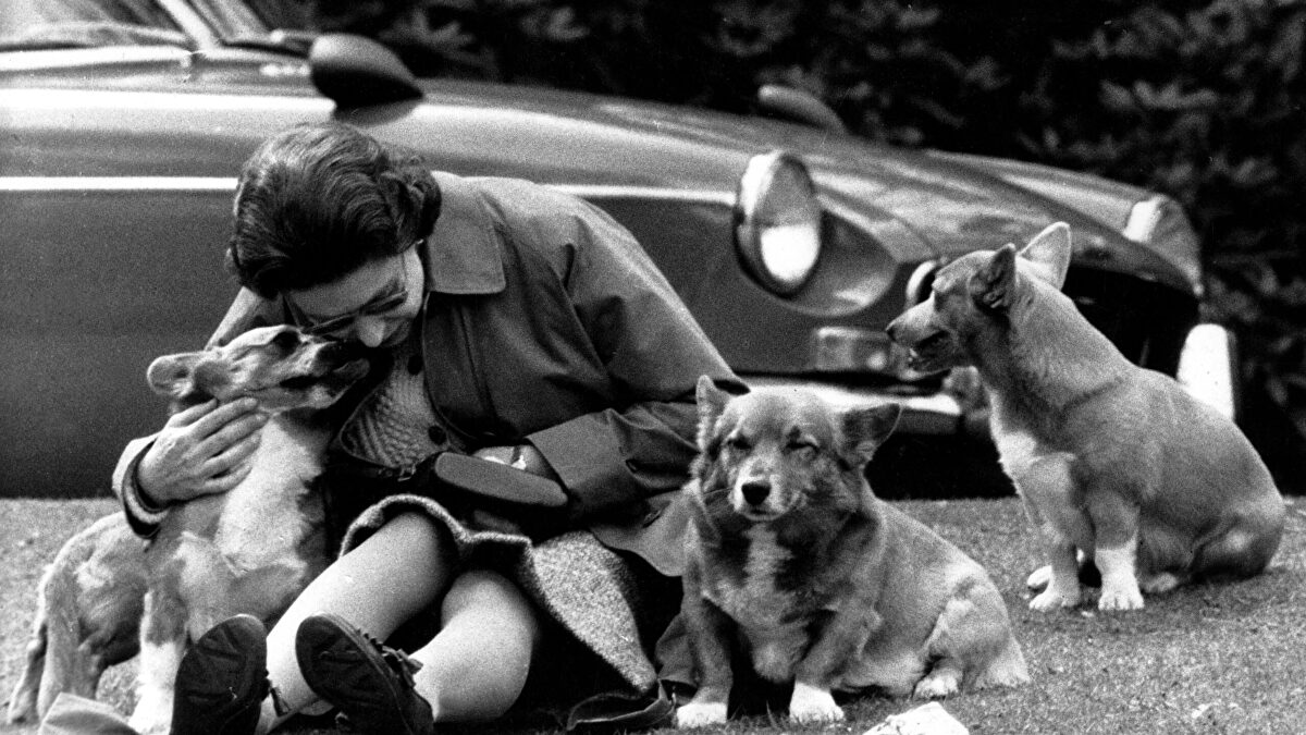 Los últimos perros que acompañaron a Isabel II, ¿qué fue de ellos? - Chic