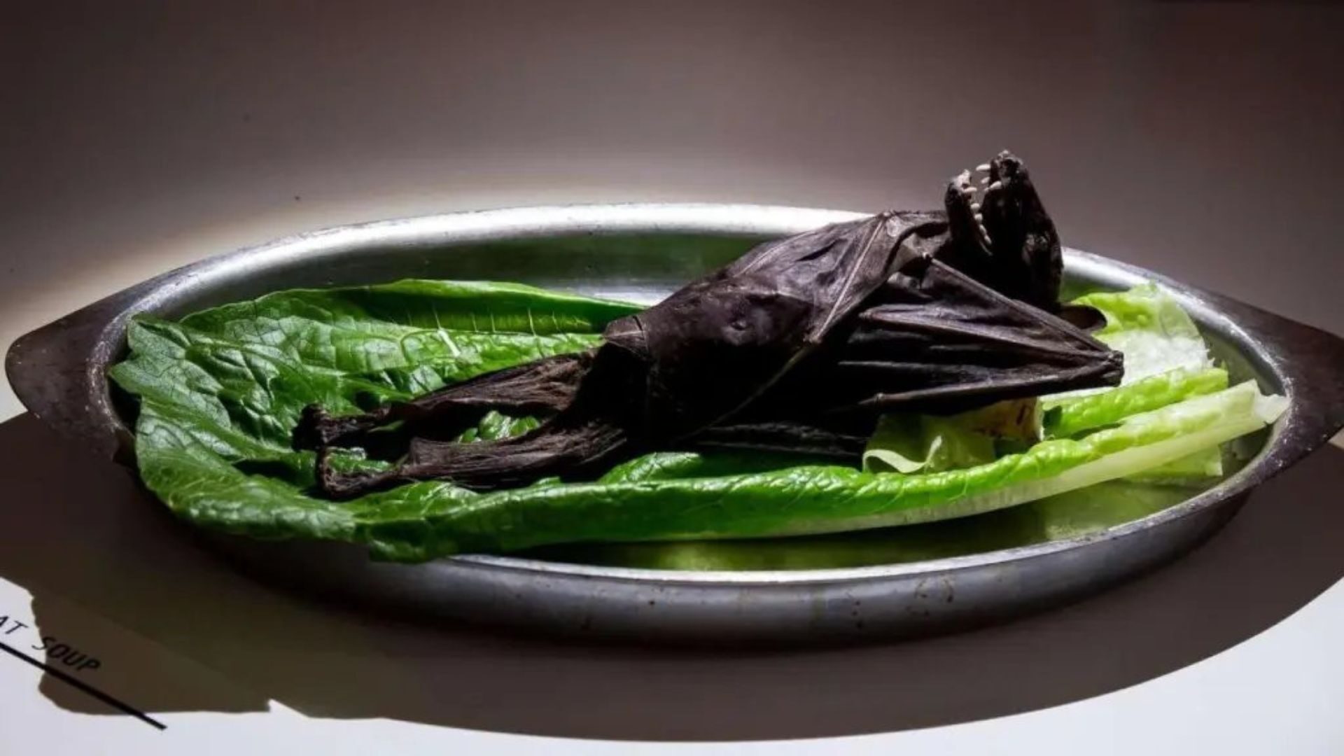 Tiburón orinado o queso con larvas de mosca: el restaurante más ...