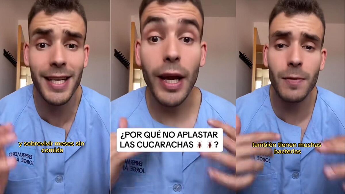 La razón por la que no se debe aplastar una cucaracha - Libertad Digital
