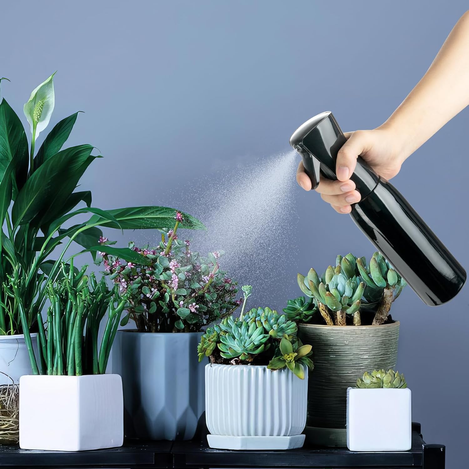 Los mejores pulverizadores de agua