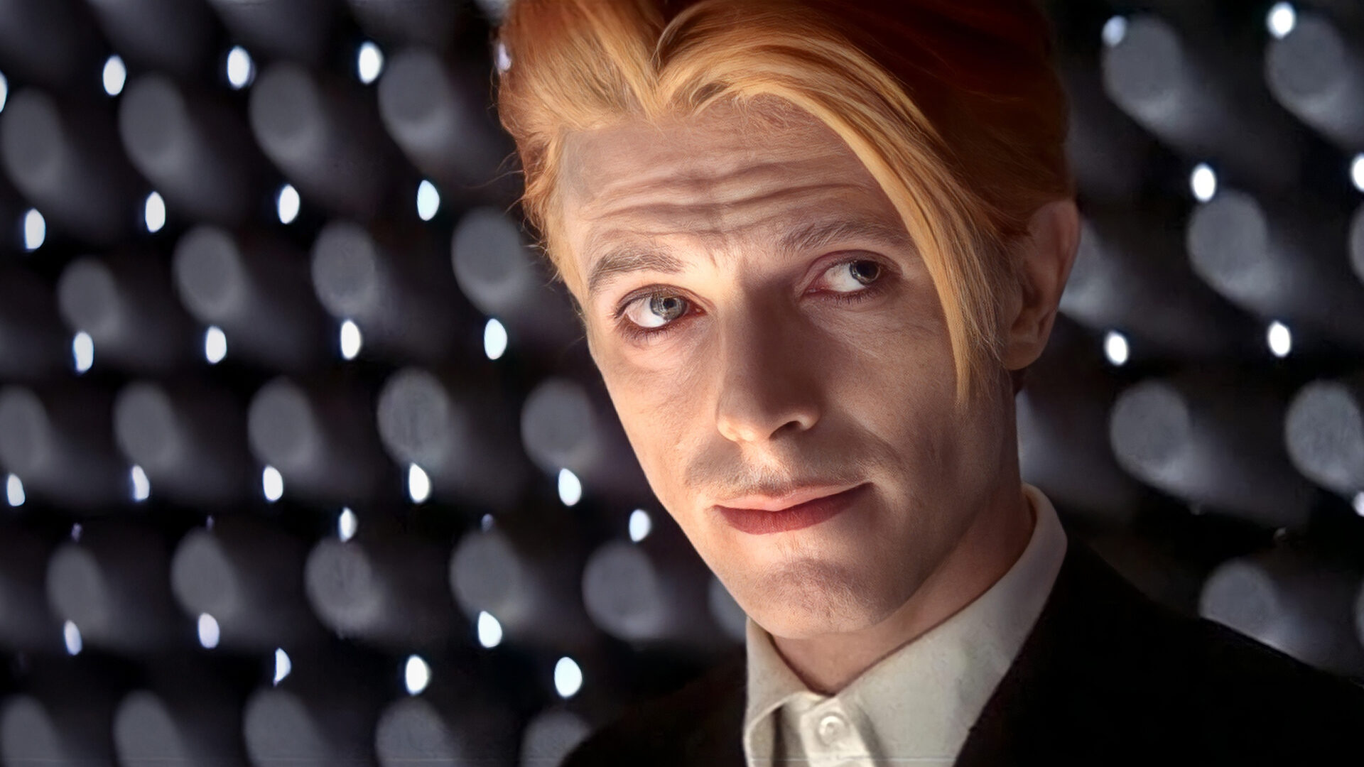 Estrenos en plataformas: Bowie y los extraterrestres invaden FlixOlé ...