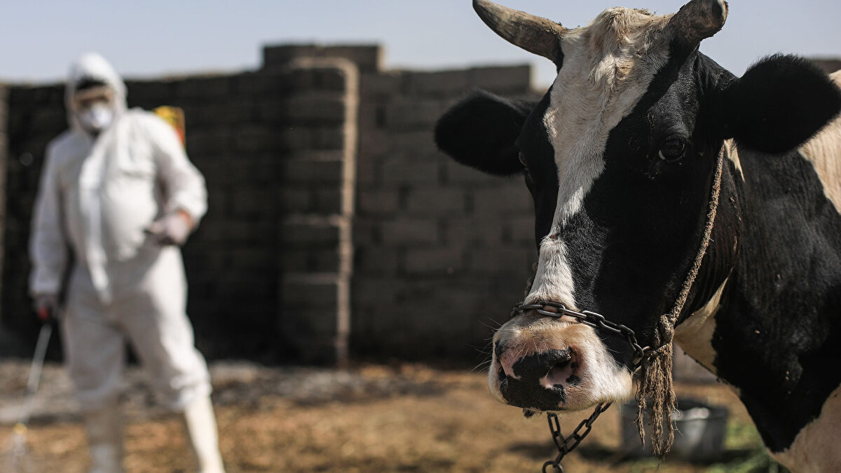 El campo como objetivo: qué es el agroterrorismo y por qué preocupa a ...