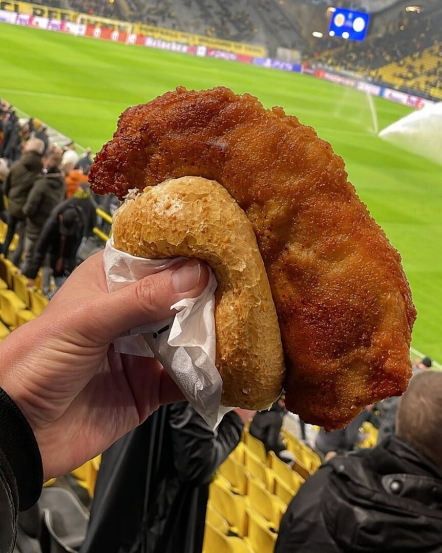 El chollo alemán que saca los colores a los estadios españoles: ¡4 ...